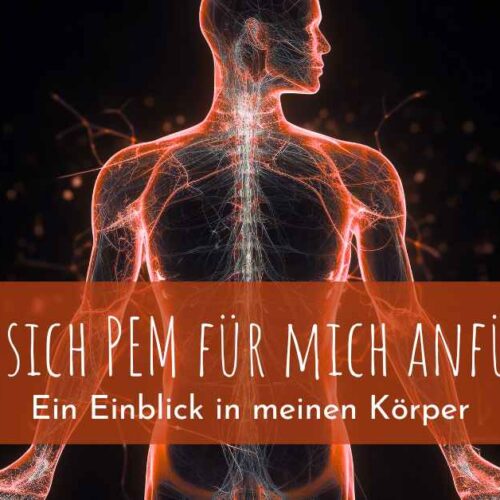 Was ist PEM – und warum ist es so typisch für ME/CFS? - Julia Stüber